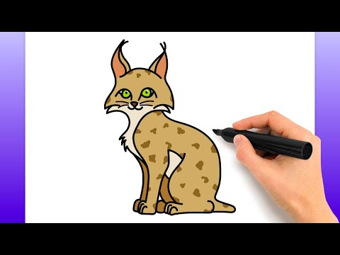 Cómo Dibujar Un Lince (Tutorial De Dibujo Fácil)