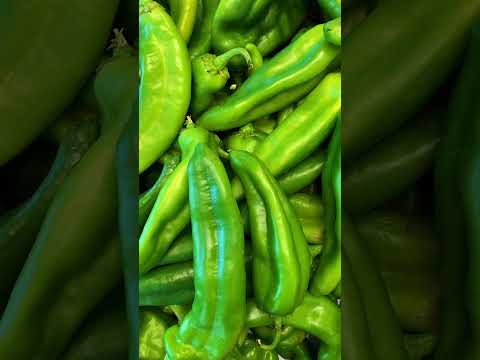 💚🔥 Come have the ULTIMATE Hatch Chile Experience at your local Mollie Stone’s Markets!