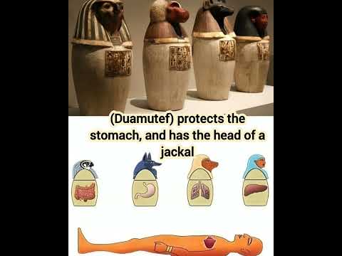 Canopic jars#history#egipt #egyptology#shorts#reels#foryou#new#explore#youtubeshorts#subscribe#like