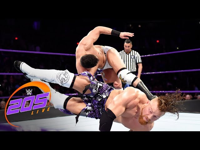 WWE 205 Live: The Path to 100 Episodes and the Four Leaders of the Division
