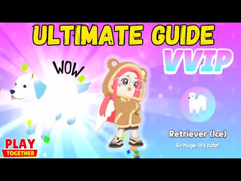 ULTIMATE GUIDE to the NEW PET Features (Play Together Game)
