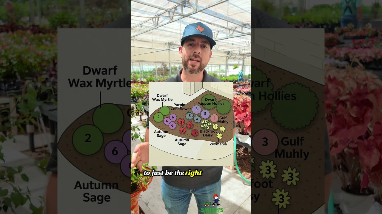 🤖🌳 Can AI design a landscape?