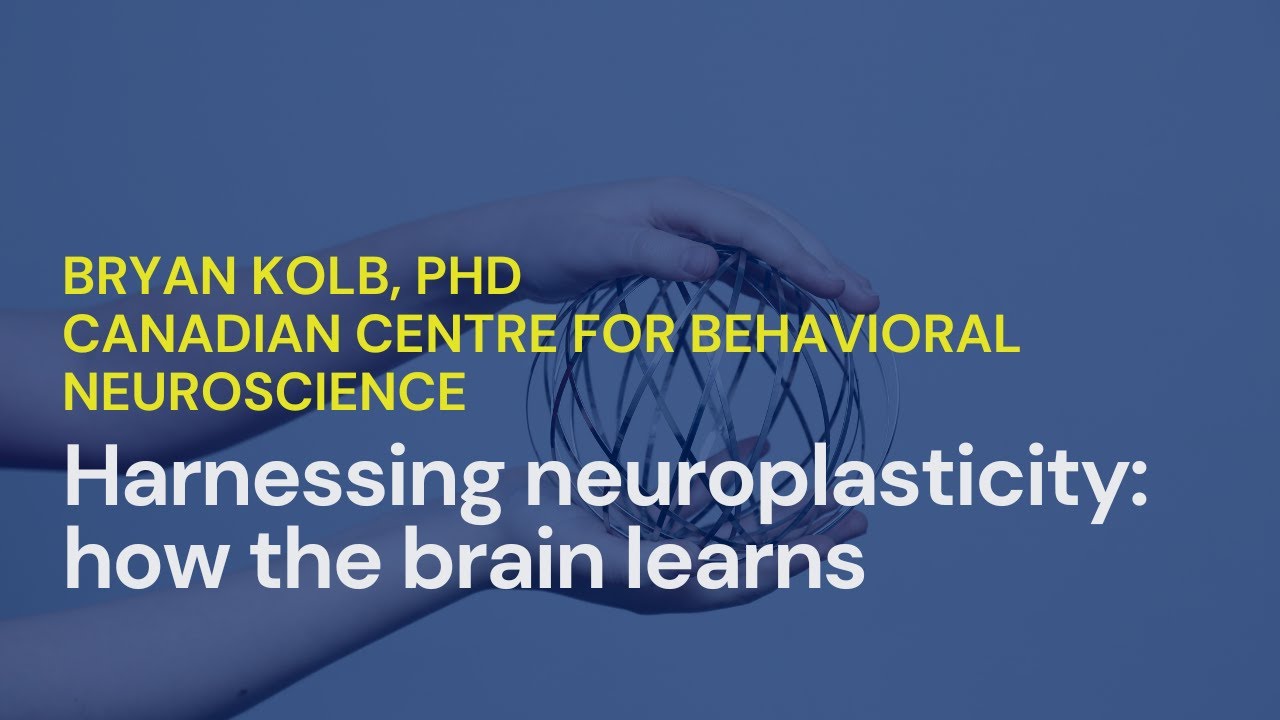 Harnessing Neuroplasticity: How The Brain Learns • Brian Kolb, PhD