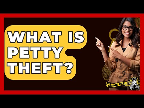 What Is Petty Theft? - The Crime Reel
