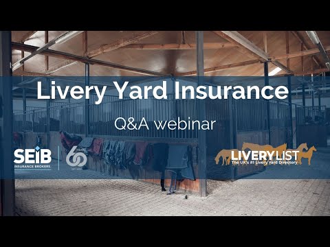 What insurance do you need for your livery yard?