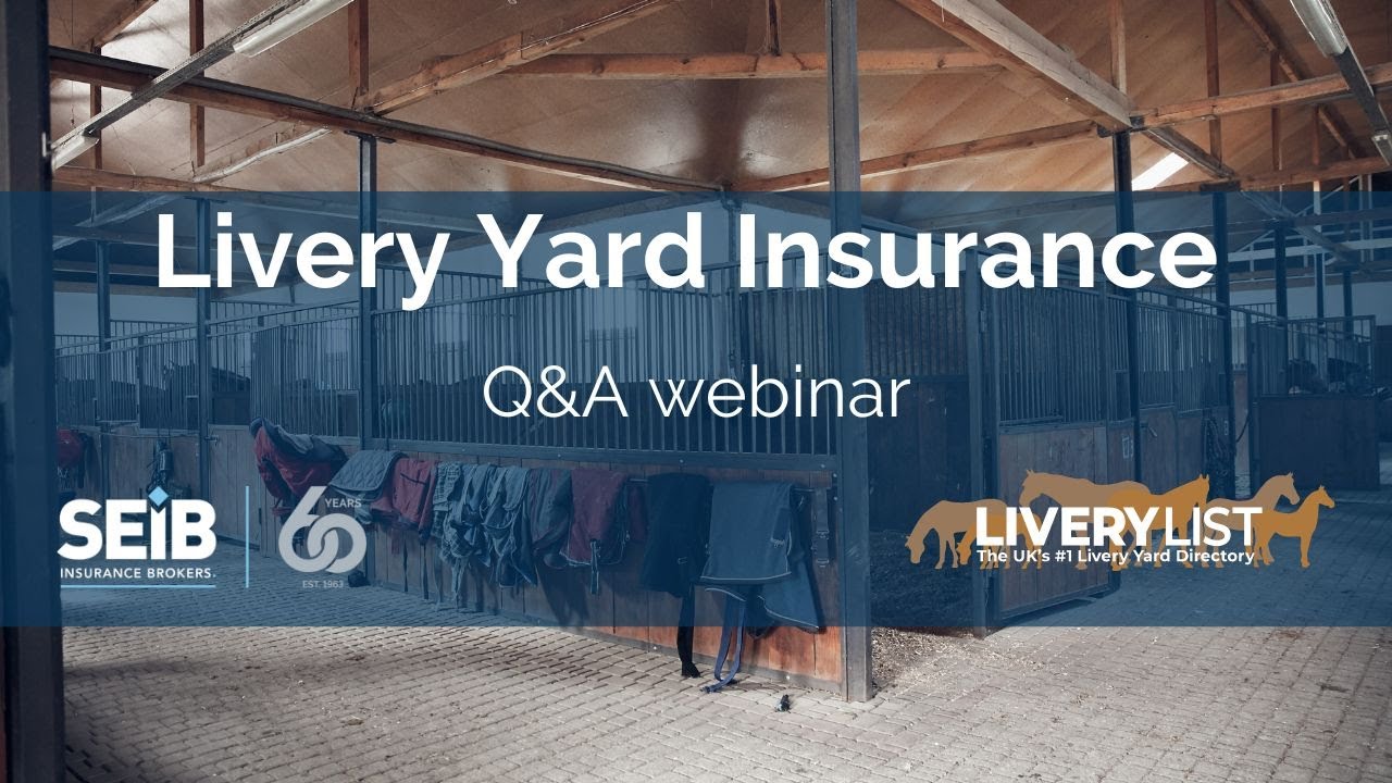 What insurance do you need for your livery yard?