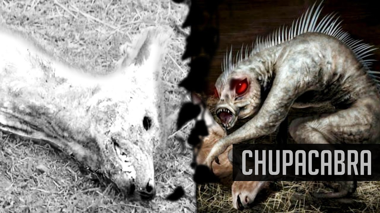 Chupacabra History & Lore Explained
