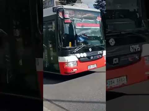 Mavačka od Řidiče na lince 200 #praha #bus #pozdrav #shorts