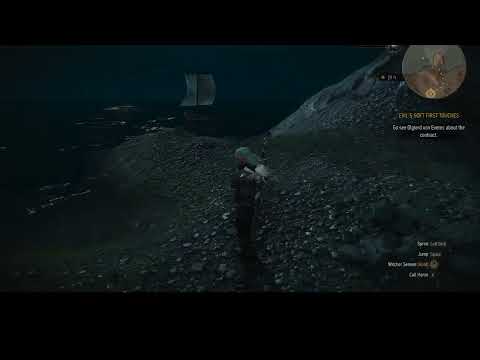 Steam Community :: Video :: Witcher 3 - Flying crab