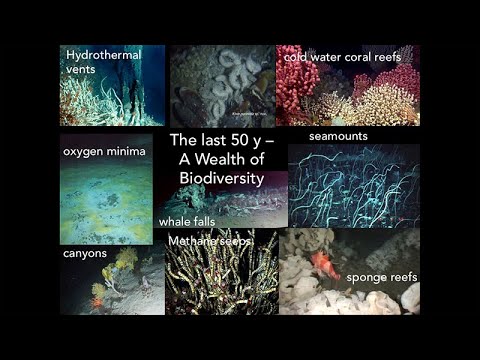 Seabed Mining in the Deep Sea
