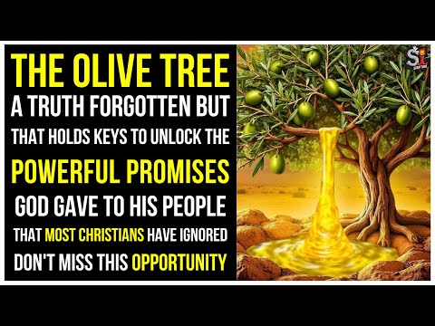 The Spiritual Secret of the Olive Tree Never Before Revealed