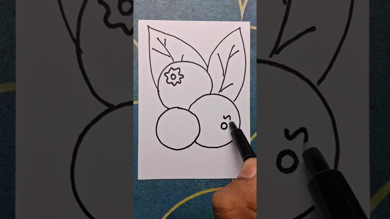 Blueberry Drawing, How to draw a blueberry,  fruit drawing