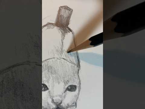 Banana cat sketch #shorts #memes