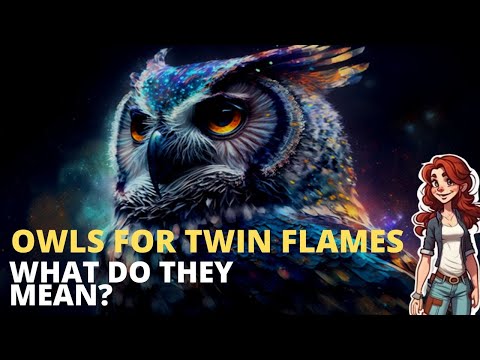 What Does an Owl Mean for Twin Flames?