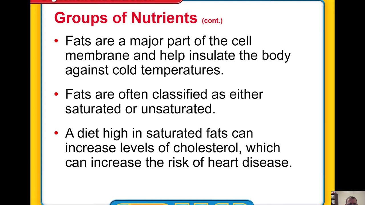 Chapter 15 Lesson 1 PPT
