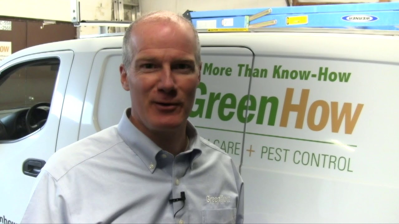 Finding and managing clothes moths - Greenhow Pest Control
