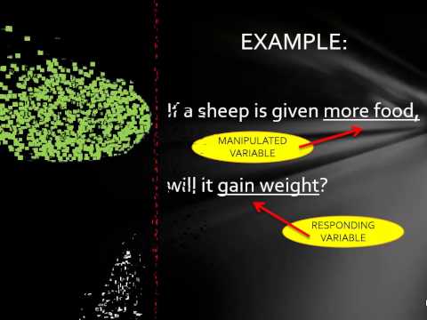 The Scientific Claim