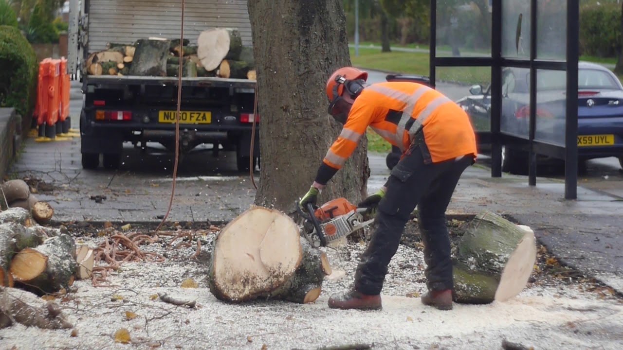Arborcut Tree Services Ltd
