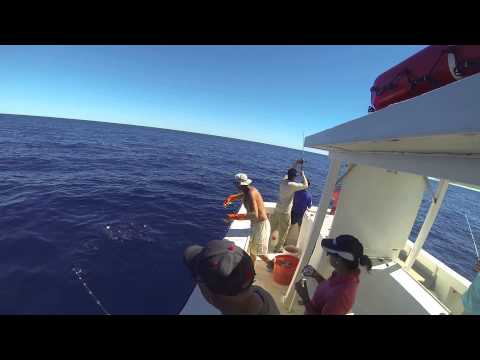 Action charters trip part 4