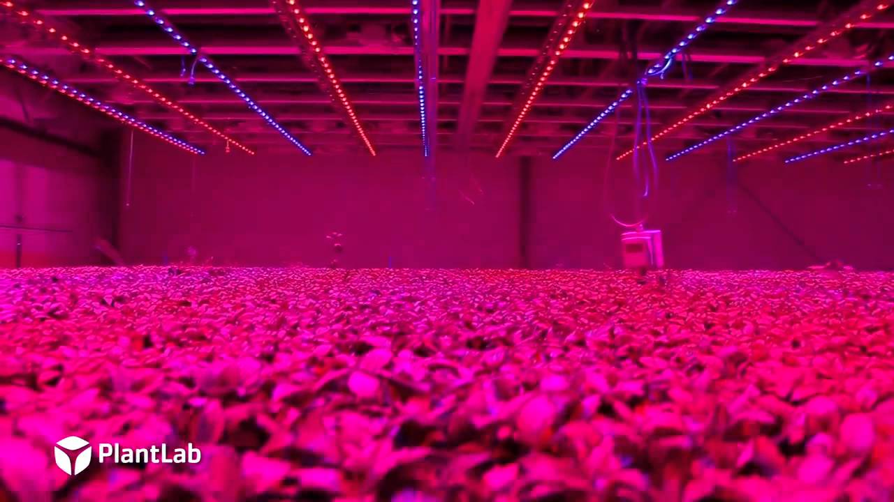 PlantLab Plant Production Unit - TheRedPin.com