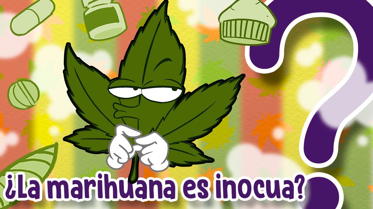 La marihuana ¿es nociva o saludable?