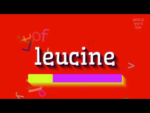 How to say "leucine"! (High Quality Voices)
