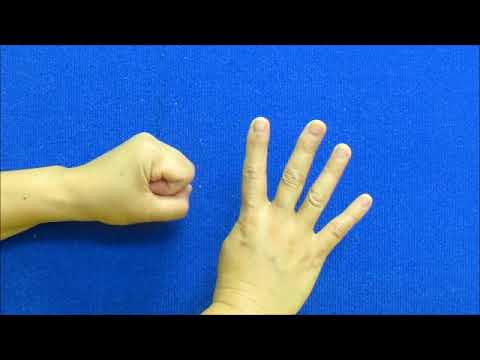 Rhyming and Fingerplay with Ms. Regina - "A Sticky Tongue Lizard"