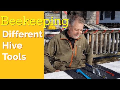 Beekeeping - Different Hive Tools & How To Use Them