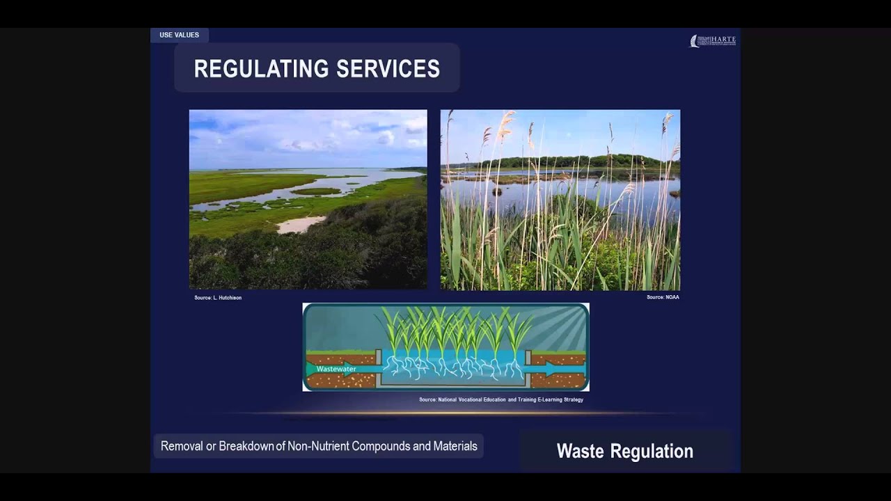 Ecosystem Services Visualized