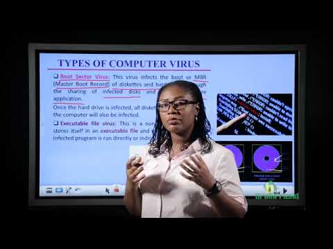 Computer Viruses