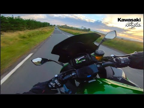 KAWASAKI NINJA 1000 SX | COUNTRYSIDE | UNCUT | 4K