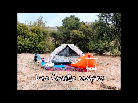 미국 사는 디자이너/Little get a way #2/Malibu camping/Great white Egret hunting/자가격리후 처음떠난 말리부 캠핑/신기한것을 보았어요
