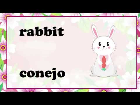 Spring Vocabulary for Bilingual Students English and Spanish