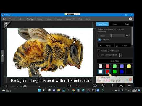 Background replacement for stacked images by PhotoScape X