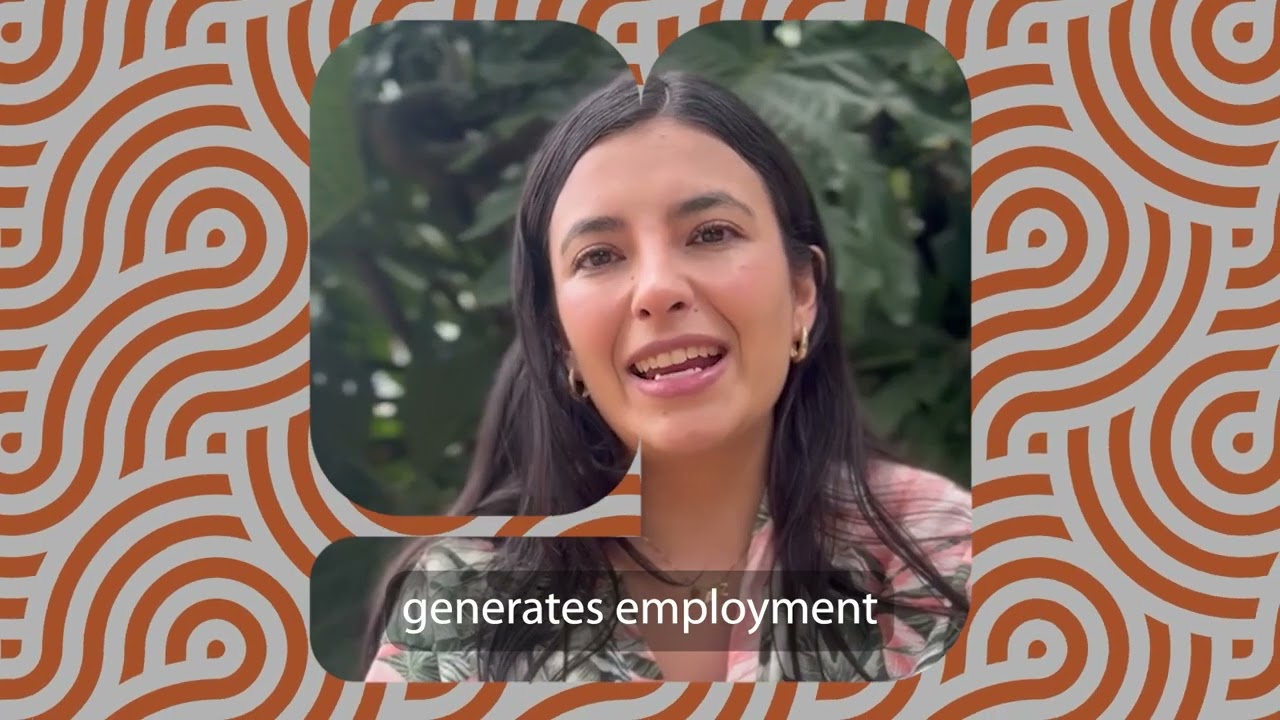 Youth4Climate Awardees 2024 Overview