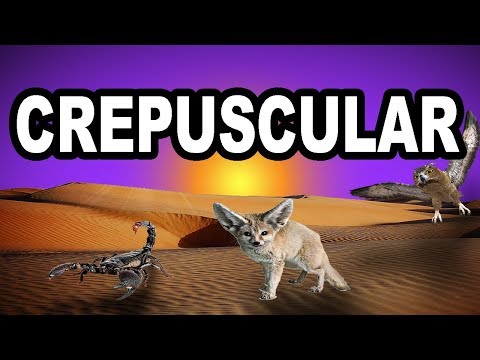 Learn English Words - CREPUSCULAR - Meaning, Vocabulary with Pictures and Examples