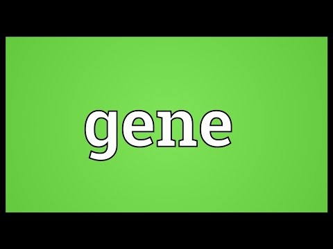 Gene Meaning