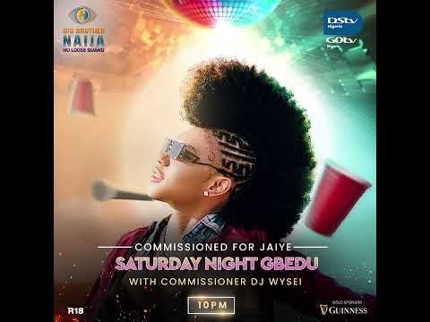 BIG BROTHER NAIJA 2024 BBN MIX