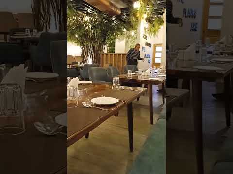 Best cafes in jodhpur|| The plant Story.pure veg.resturent in jodhpur