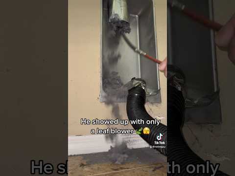 He Gave Her The What?! 😳 #dryerventcleaning #laundry #cleaning #lint #firehazard #scam #craigslist