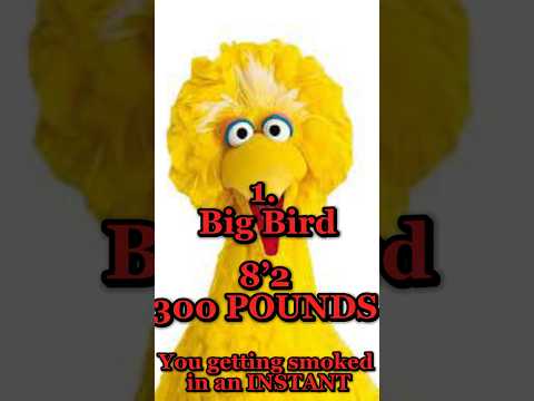 Top Ten MOST DANGEROUS BIRDS… 🤯😱💀#awesomesauce #funny #memes #shorts