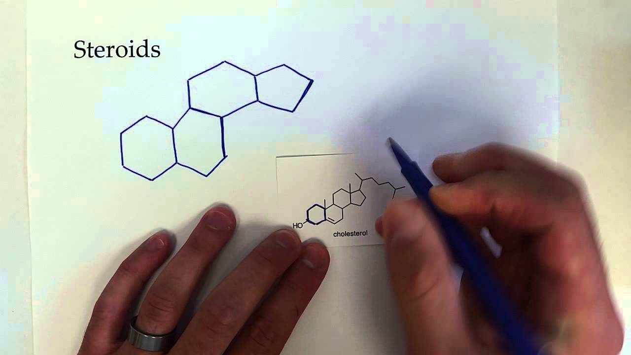 Lipids 10.4 Steroids & Terpenes