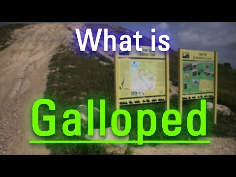 What is Galloped? | How Does Galloped Look? | How to Say Galloped in English?