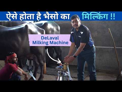 DeLaval Private Limited - Manufacturer of Milking Machines And ...