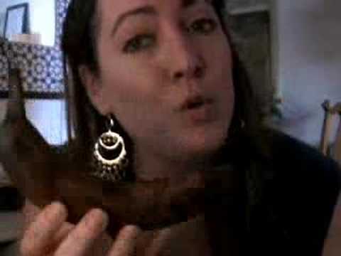 Professor Chancleta: Cooking with Cojones