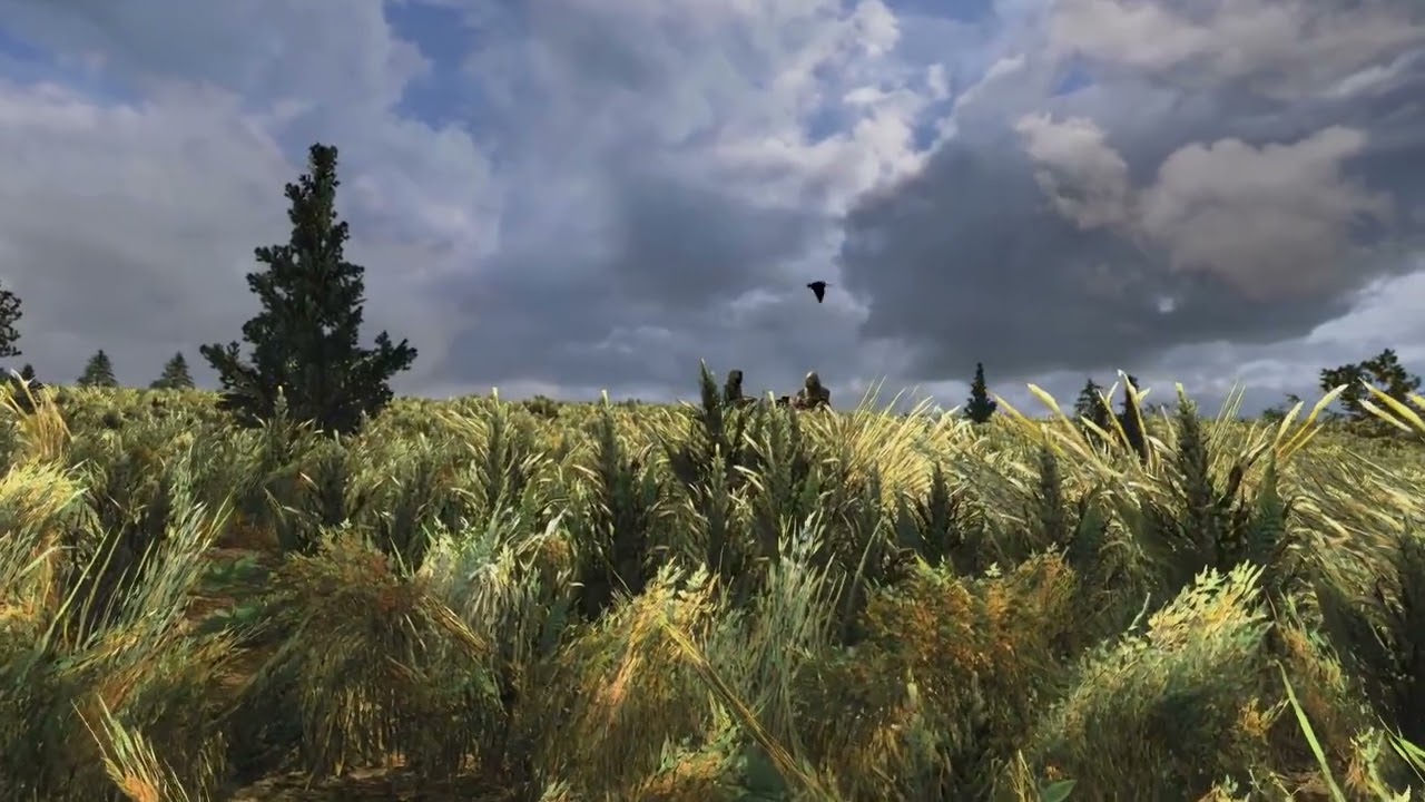 Complete 1.5 Teaser #1