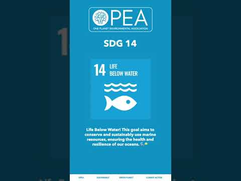United Nations - Sustainable Development Goal 14