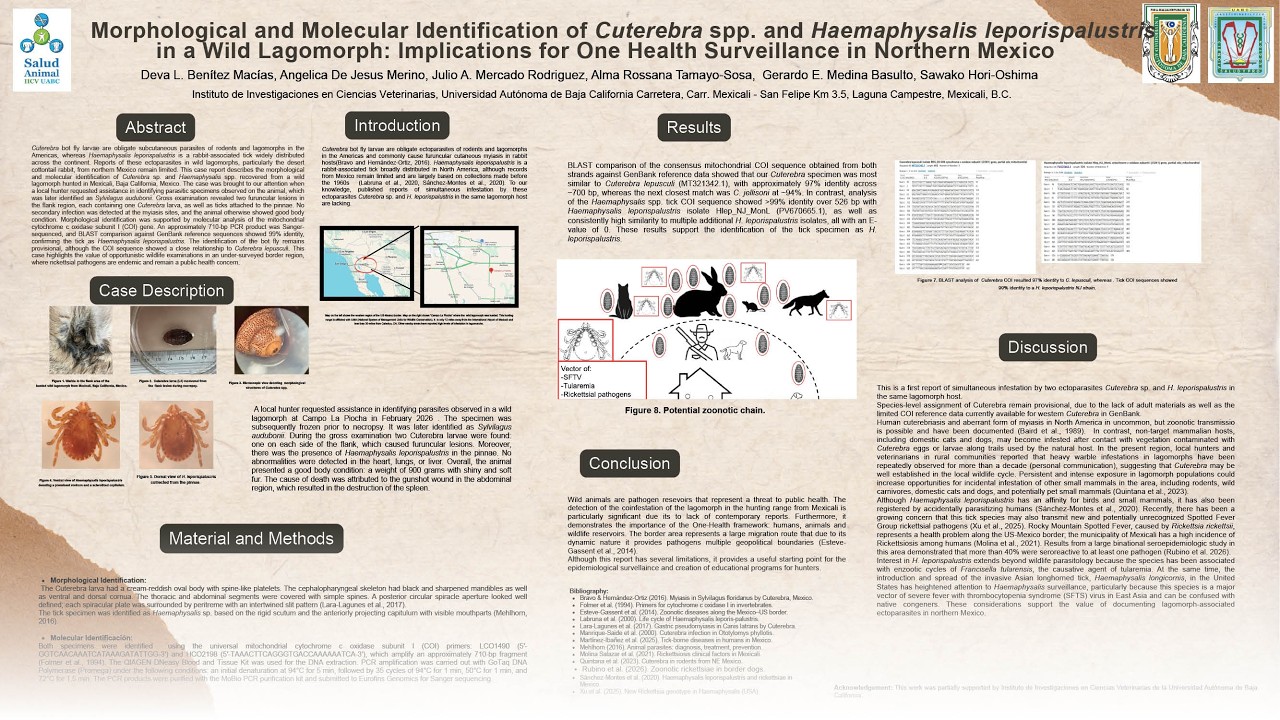 Morphological and Molecular Identification of Cuterebra spp. and Haemaphysalis leporispalustris i...