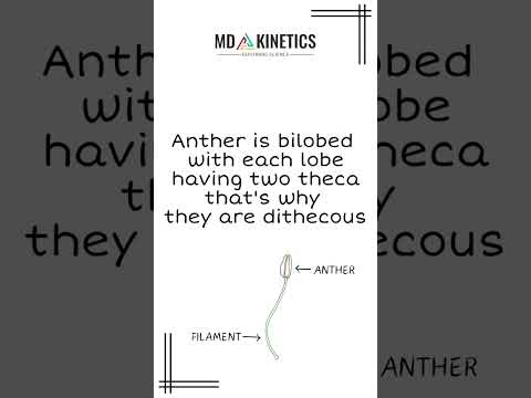 Structure of Anther | Filament #shorts #ytshorts