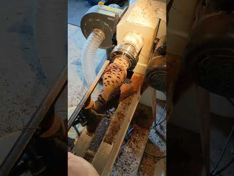 Turning a Banksia Pod Vase